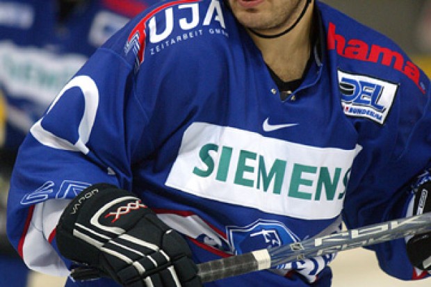 Panther wollen Scorpions den Stachel ziehen | Profis | ERC Ingolstadt