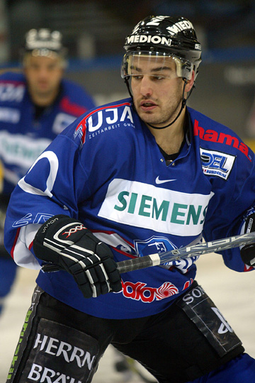 Panther wollen Scorpions den Stachel ziehen | Profis | ERC Ingolstadt