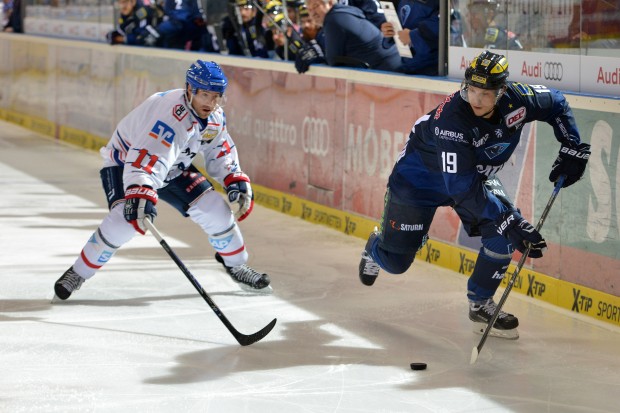 Panther beim Tabellenführer | Profis | ERC Ingolstadt