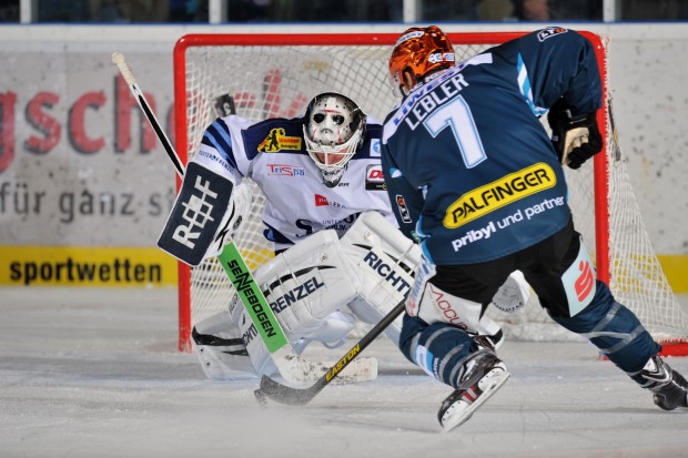 "Ihr werdet diesen Typen lieben" | Profis | ERC Ingolstadt