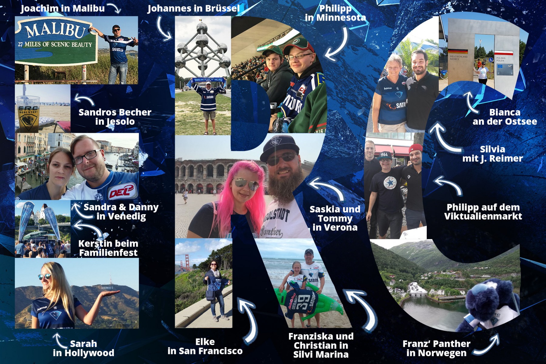 Panther-Foto-Collage 2017 | Fans | ERC Ingolstadt