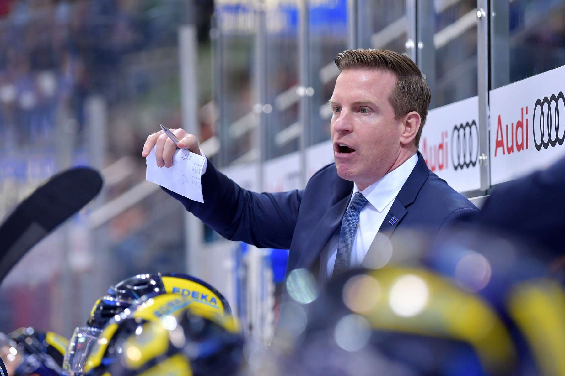 Heute im Stadion | Profis,Tickets,Fans | ERC Ingolstadt