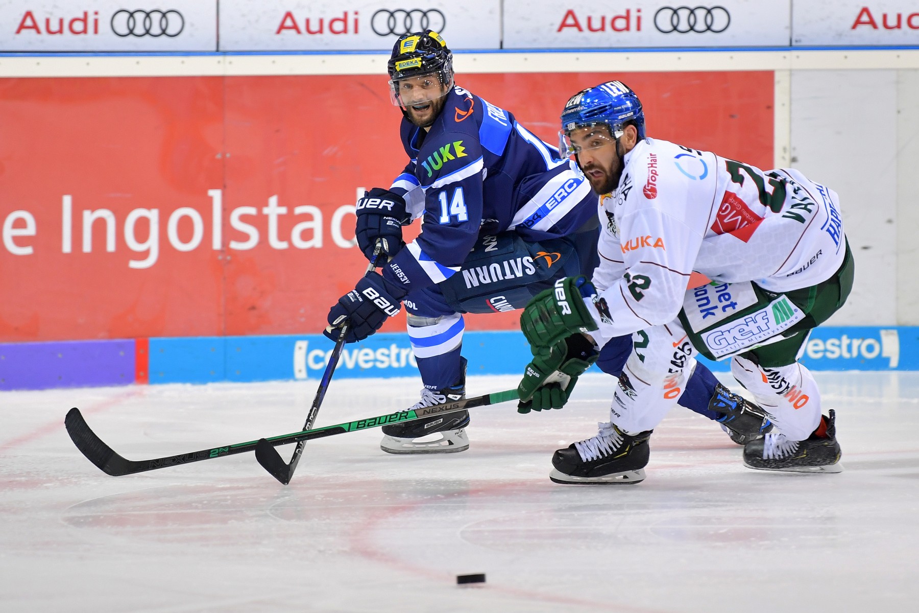 Vier bayerische Teams in Spitzengruppe | Profis | ERC Ingolstadt