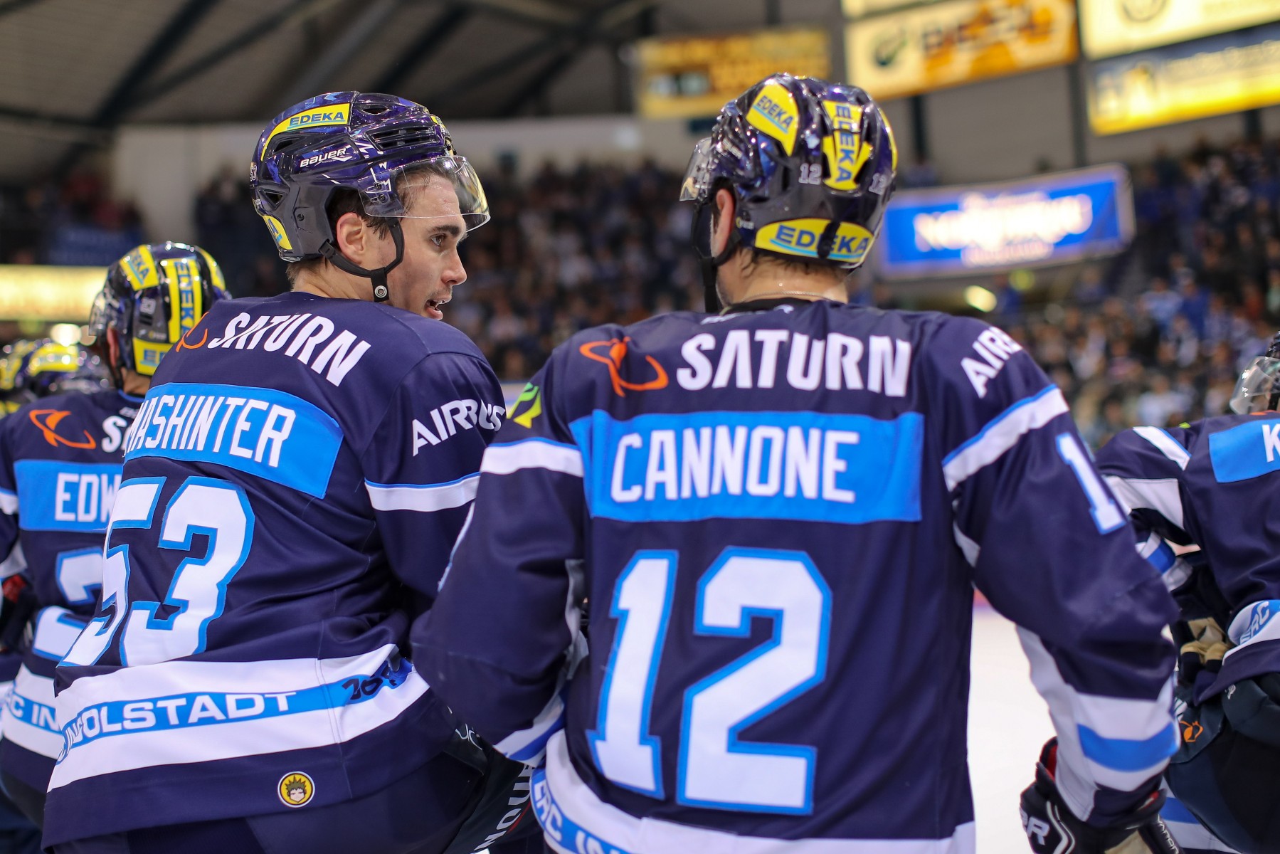 Panther des Jahres: Noch abstimmen! | Profis,Fans | ERC Ingolstadt