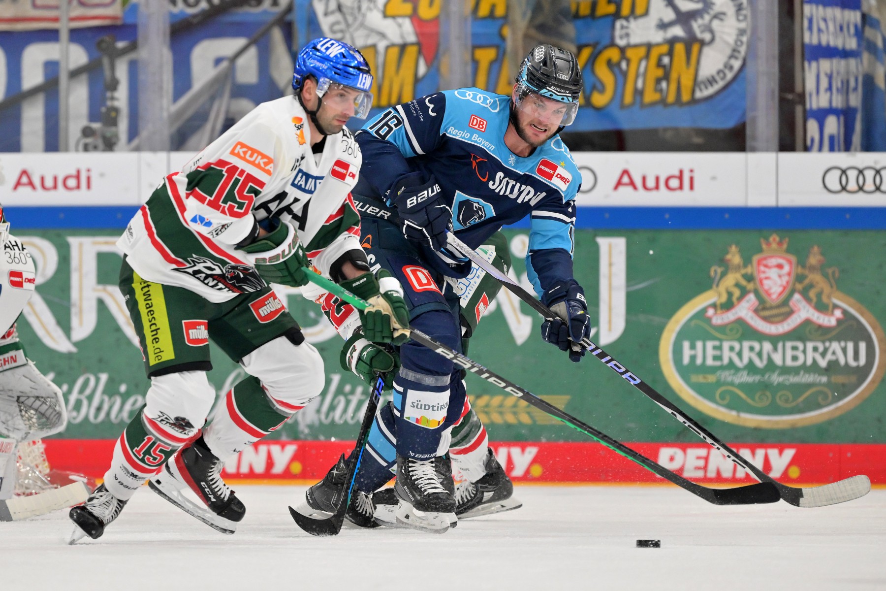 "Das Team freut sich auf die Kulisse" | Profis | ERC Ingolstadt