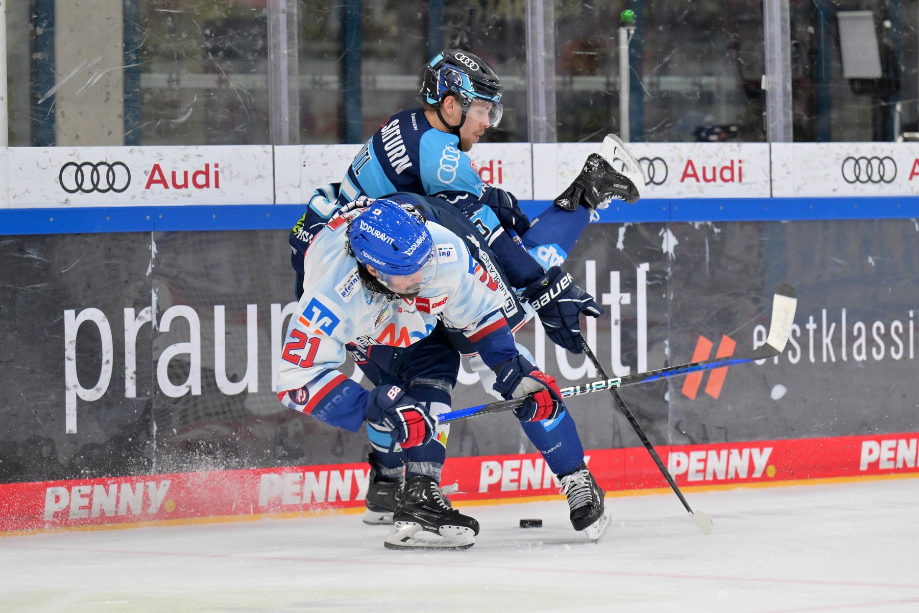 Ersten Heimsieg einfahren | Profis | ERC Ingolstadt