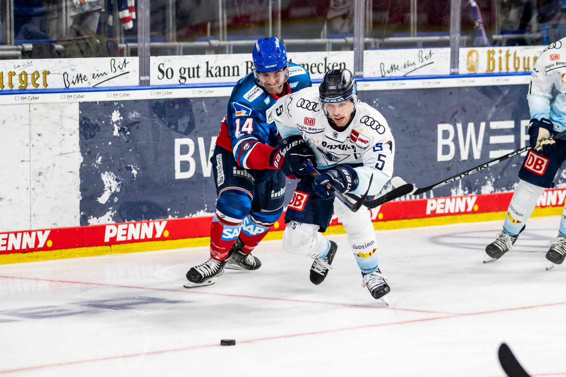 ERC erwartet druckvolle Adler | Profis | ERC Ingolstadt