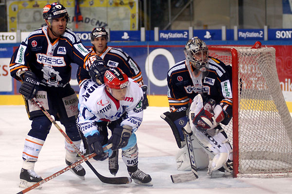 Eisbären entzaubert | Profis | ERC Ingolstadt